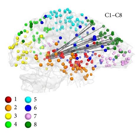 categorization of affected functional connectivity using the multiview download scientific