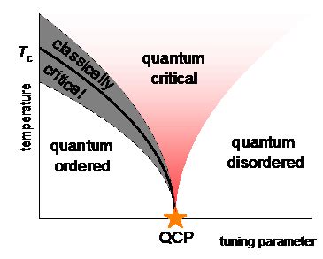 Quantum Criticality School Of Physics University Of Bristol