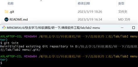 lab：在vs code中配置go编译调试环境，编写menu项目（110） csdn社区