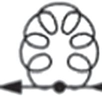 Feynman Diagrams Which Comprise The One Loop Quantum Gravitational