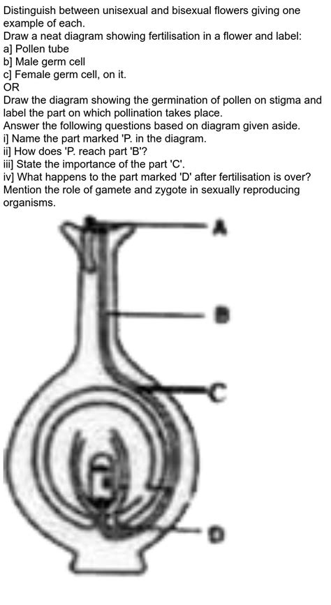 Draw A Diagram Illustrating Fertilisation In A Flowering Plant An