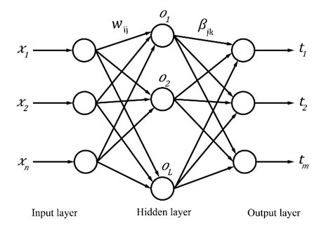 single hidden layer feedforward neural network download scientific diagram