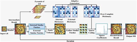 retrieval compensated group structured sparsity for image super resolution