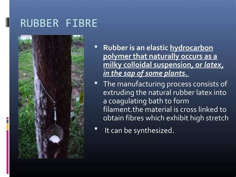 Classification Of Textile Fibers PPT