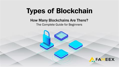 Types Of Blockchain How Many Blockchains Are There The Complete Guide