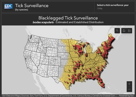 All About Ticks Tick Locations Tick Diseases And More Target