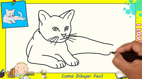 Como Dibujar Un Gato Facil Paso A Paso Para Niños Y Principiantes 2 Youtube