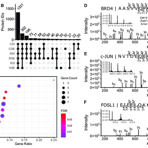 identification of immunopurified proteins by online lc pasef ms ms a download scientific