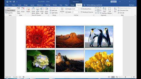 How To Insert Picture In Word Document Into Word Table Same Size YouTube