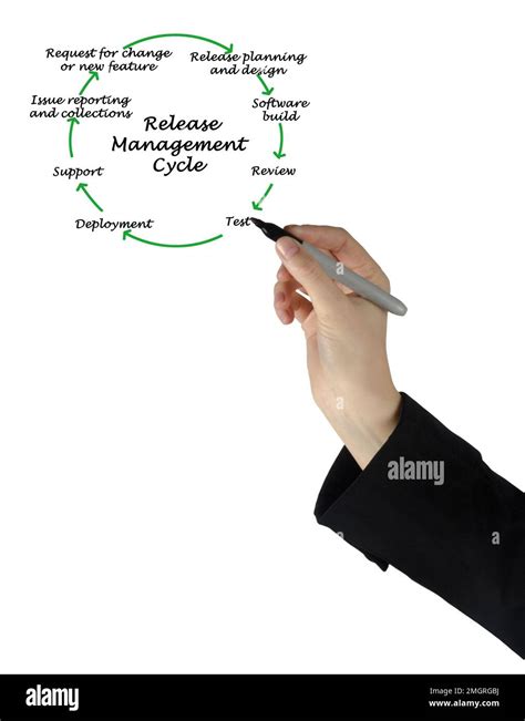 Components Of Release Management Cycle Stock Photo Alamy