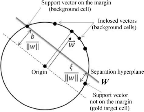 principle of the one class support vector machine modified based on download scientific
