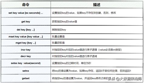 图解redis中的9种数据结构 redis 画图表示数据结构 csdn博客