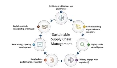 Sustainability In Supply Chain Management School Of Information Systems