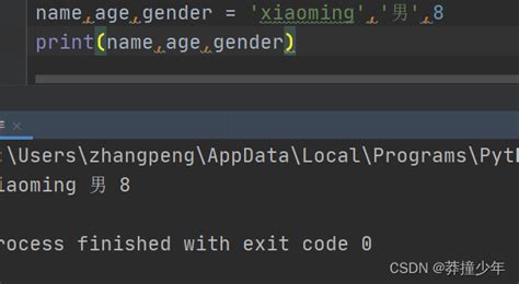 python赋值运算符 pycham不等号 csdn博客