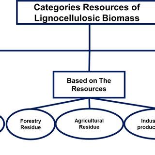 Schematic Categories Of Lignocellulosic Biomass Resources In Binderless