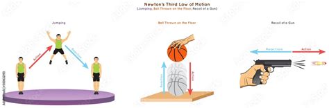 Plakat Newton Third Law Of Motion Infographic Diagram Showing Action
