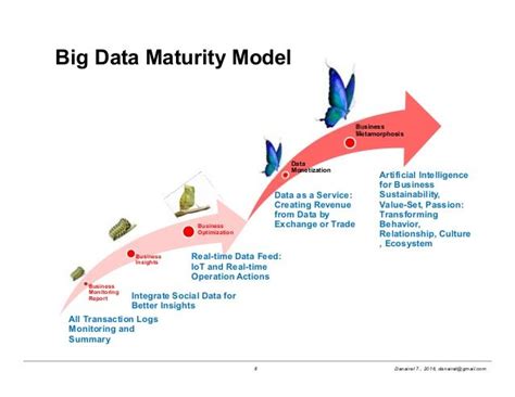 Big Data Maturity Model