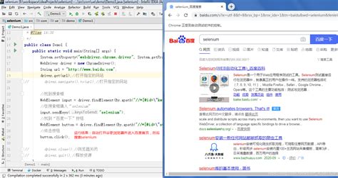 selenium简介及使用案例 selenium案例 csdn博客