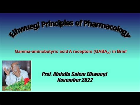 Brief Communication About GABA A Receptors Functions And Clinical