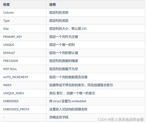 golang gorm 模型定义 51cto博客 golang 匿名结构体