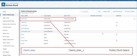 how to create picklist multi select field in salesforce salesforce faqs