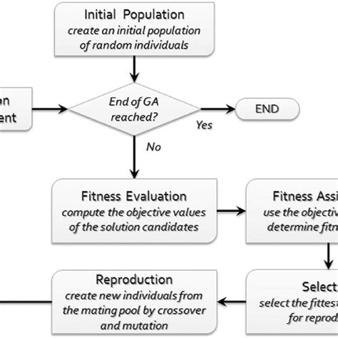 the basic cycle of genetic algorithms download scientific diagram