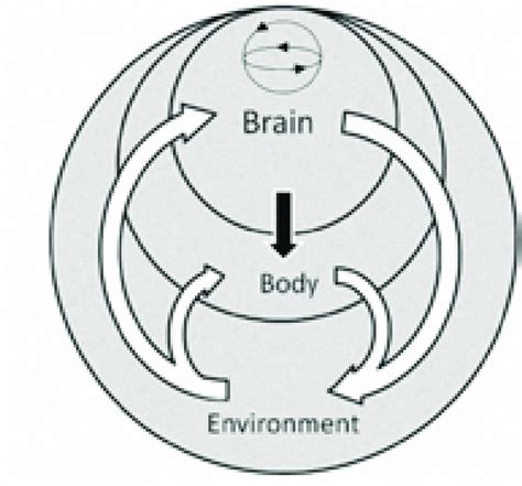 embodied cognition brain body and environment as embedded dynamic download scientific