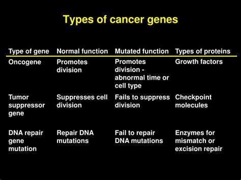Ppt Genetics Of Cancer Lecture Iv Powerpoint Presentation Free Download Id2013649