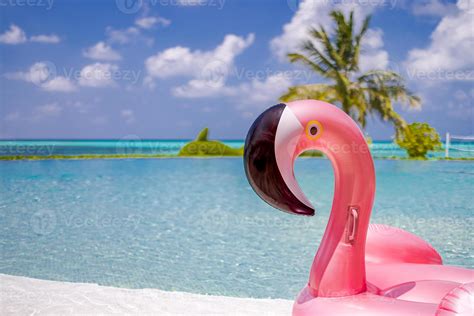 Summer Swimming Pool With Inflatable Pink Flamingo Luxury Resort Hotel Poolside Happy Blue