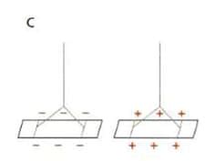 Draw A Circuit Having Two Lamps In Parallel With A Cell And One Switch