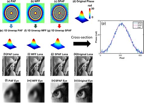 filtered wrapped phase using a paf b windowed fourier filtering download scientific