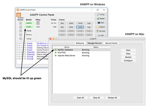 c tutorials load data into datagridview from sql server database a mysql in vrogue