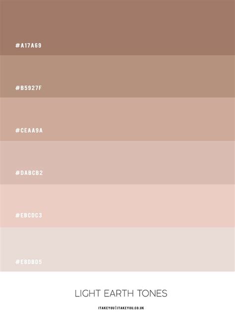 Brown Color Palette Code Jalisa Augustine