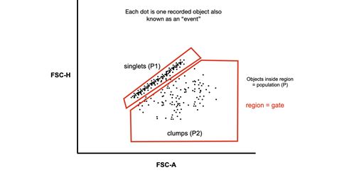 Understanding Flow Cytometry The Coding Biologist