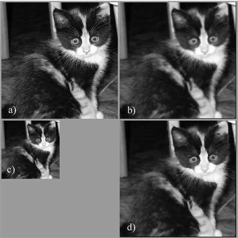 pdf fuzzy transforms