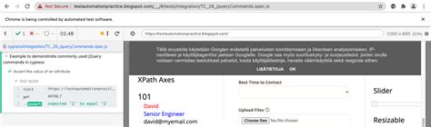 Cypress Test Validating Input Value In Automated Tests