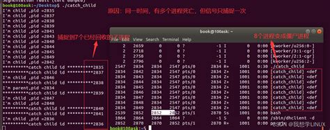 linux下的系统编程——信号（十一） linux 信号11 csdn博客