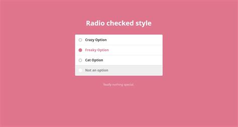 25 Radio Button CSS Styles Examples OnAirCode
