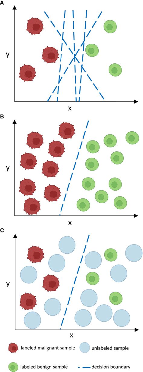 frontiers semi supervised learning in cancer diagnostics
