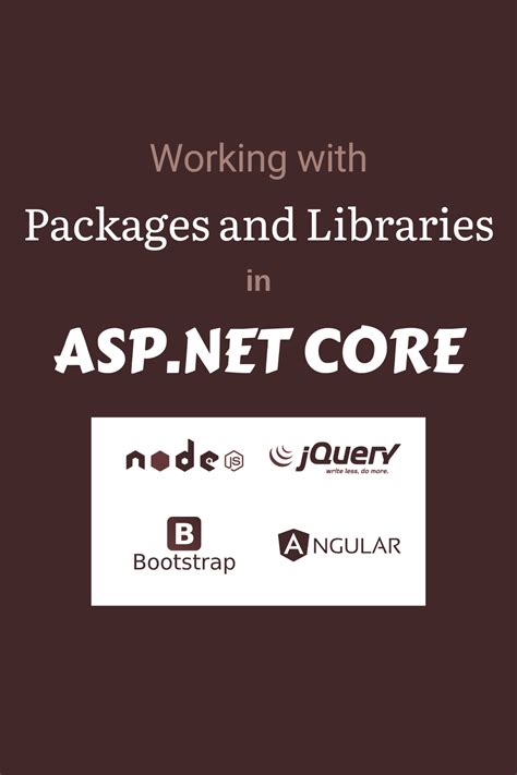 Working With Packages And Libraries In ASP NET Core Core Library