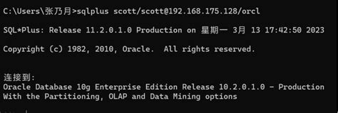 oracle学习笔记1 安装 虚拟机 plsql 连接 oracle nicezny 博客园