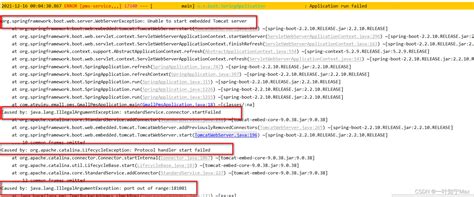 java lang illegalargumentexception port out of range 181081 csdn博客