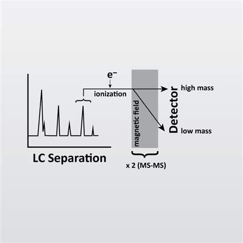 lc ms schematic diagram
