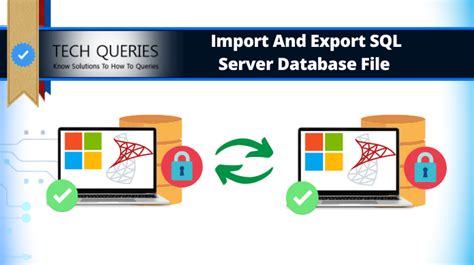 how to import and export sql server database