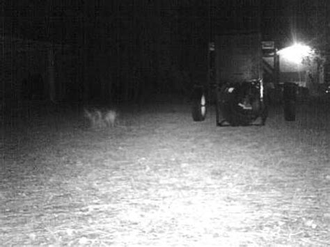Trail Camera Ghost Video Ghost Videos Trail Camera Trail