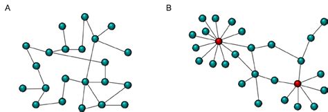 network topology a the random network is homogeneous most nodes