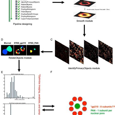 pdf cellprofiler novel automated image segmentation procedure for super resolution microscopy