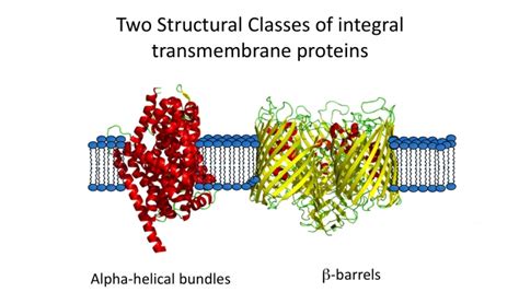 Biochemistry University Of Toronto BCH422H