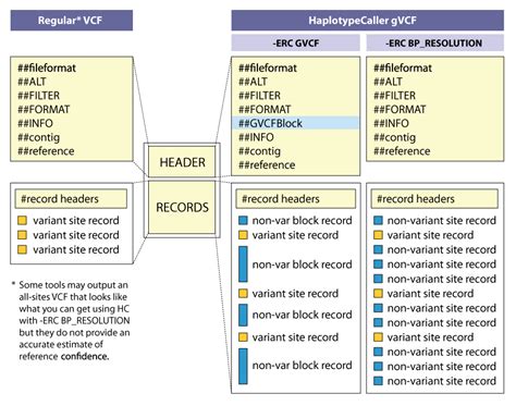 Gatk Doc Archive Faqs What Is A GVCF And How Is It Different From A