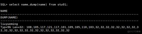oracle数据类型char与varchar的对比 51cto博客 oracle char和varchar2的区别